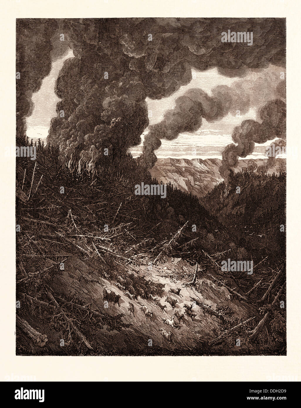 Gustave dore atala Banque de photographies et d’images à haute ...