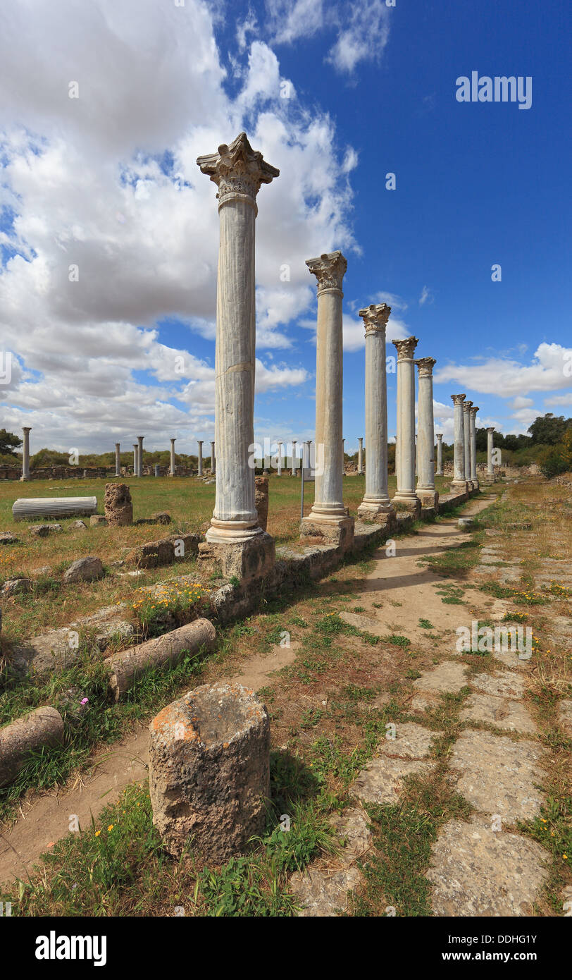 Ville antique de salamine Banque de photographies et d’images à haute ...