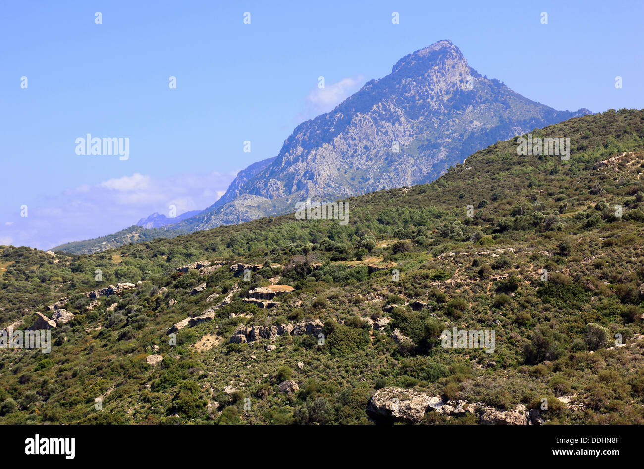 Lapithos cyprus Banque de photographies et d’images à haute résolution ...