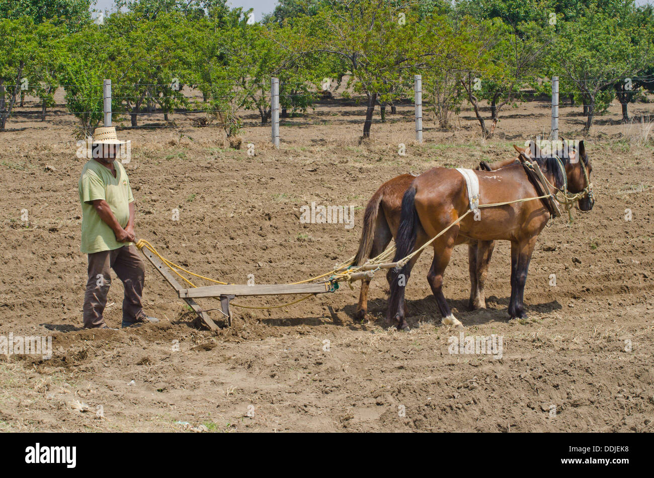 Using plough Banque de photographies et d’images à haute résolution - Alamy