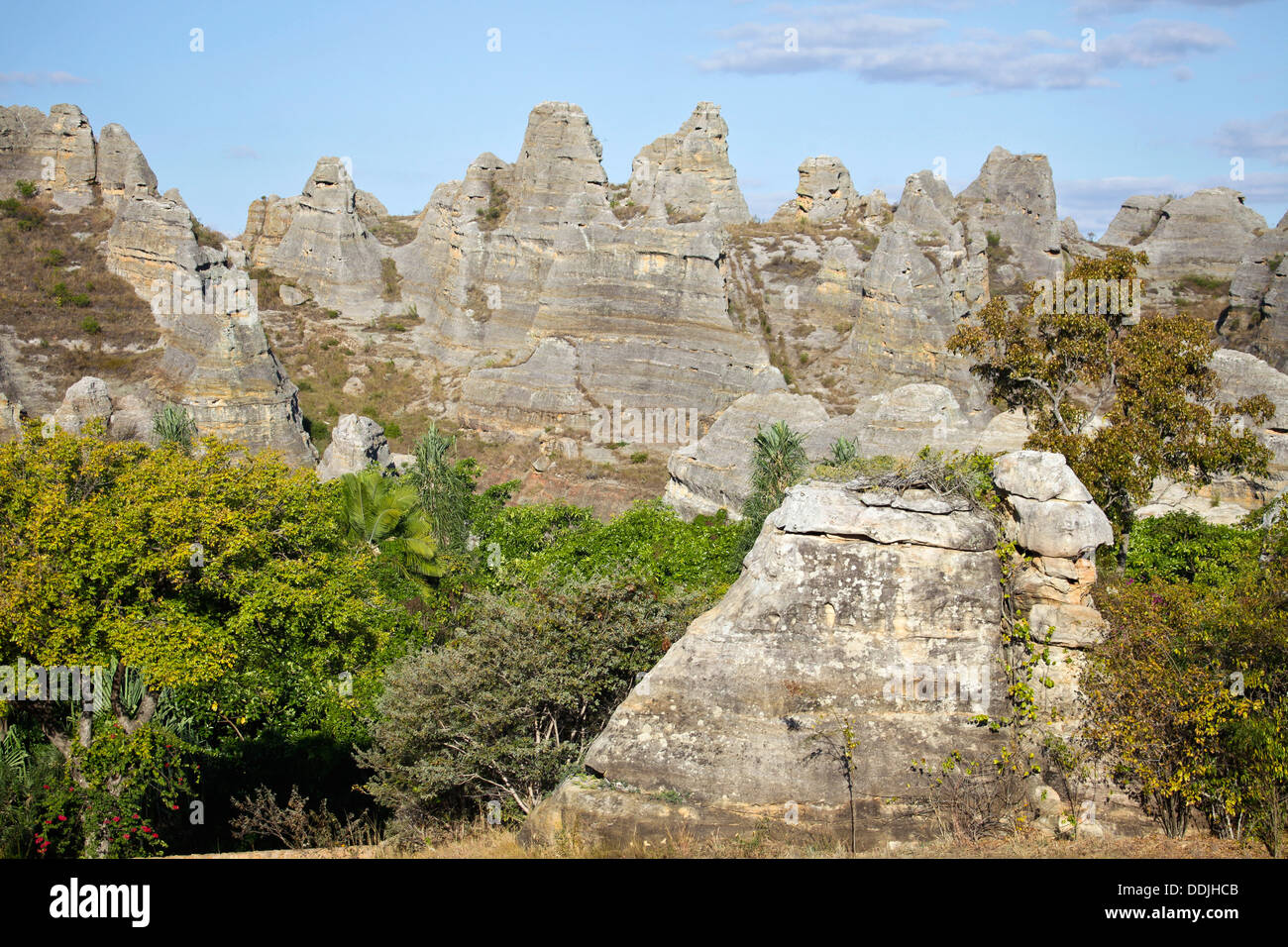 Isalo national park madagascar Banque de photographies et d’images à ...