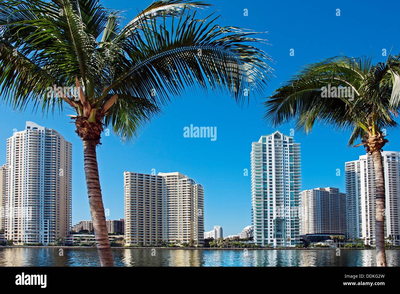 Visiter le centre ville de miami Banque de photographies et d’images à ...