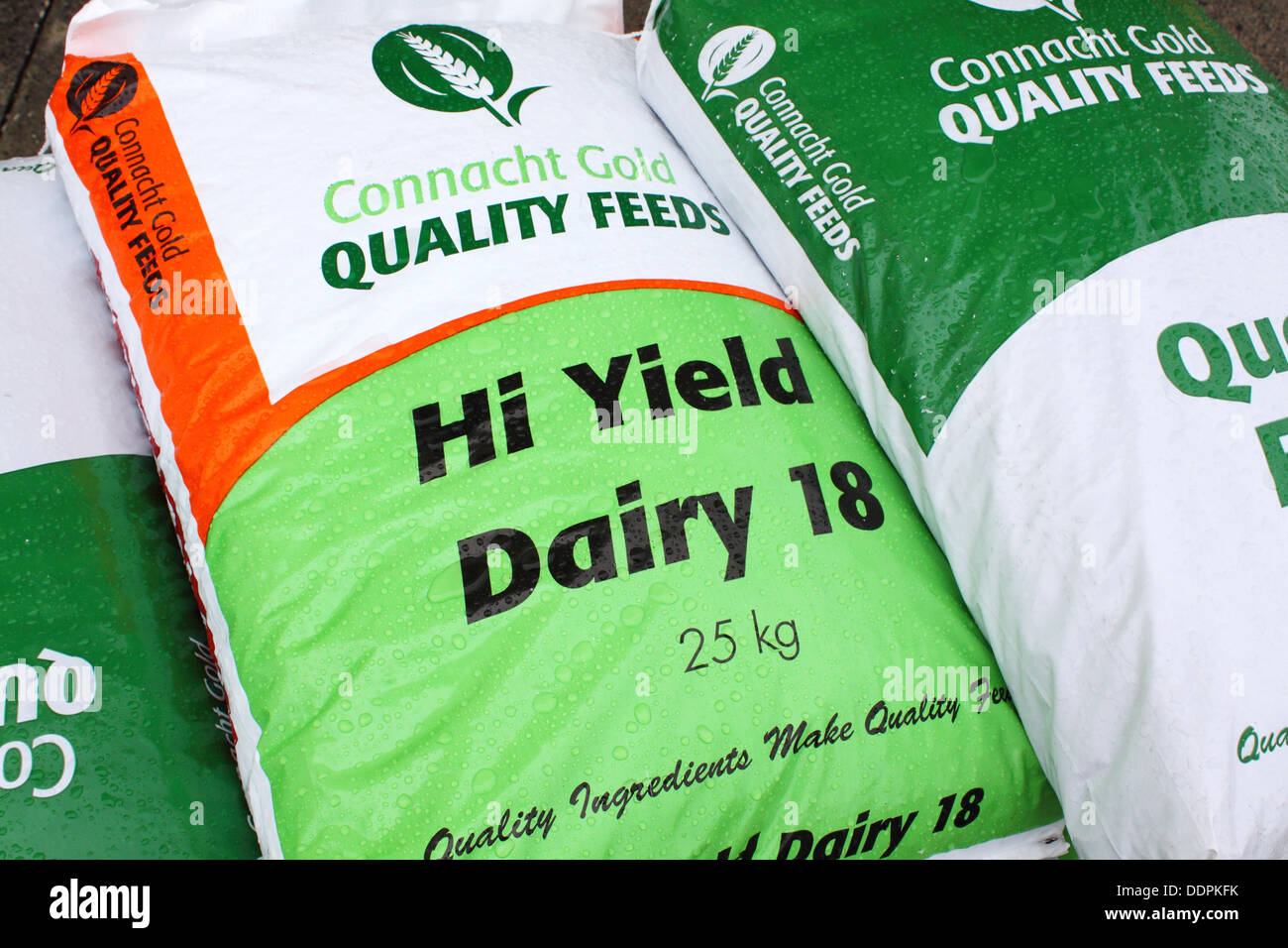 Animal avec des sacs Banque de photographies et d’images à haute ...