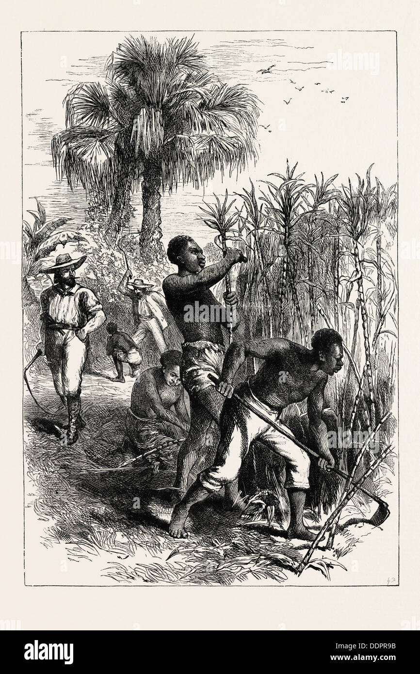 Slaves plantation Banque de photographies et d’images à haute ...