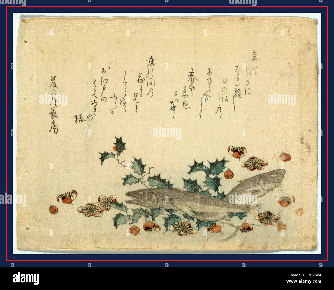 Hiiragi iwashi Banque de photographies et d’images à haute résolution - Alamy