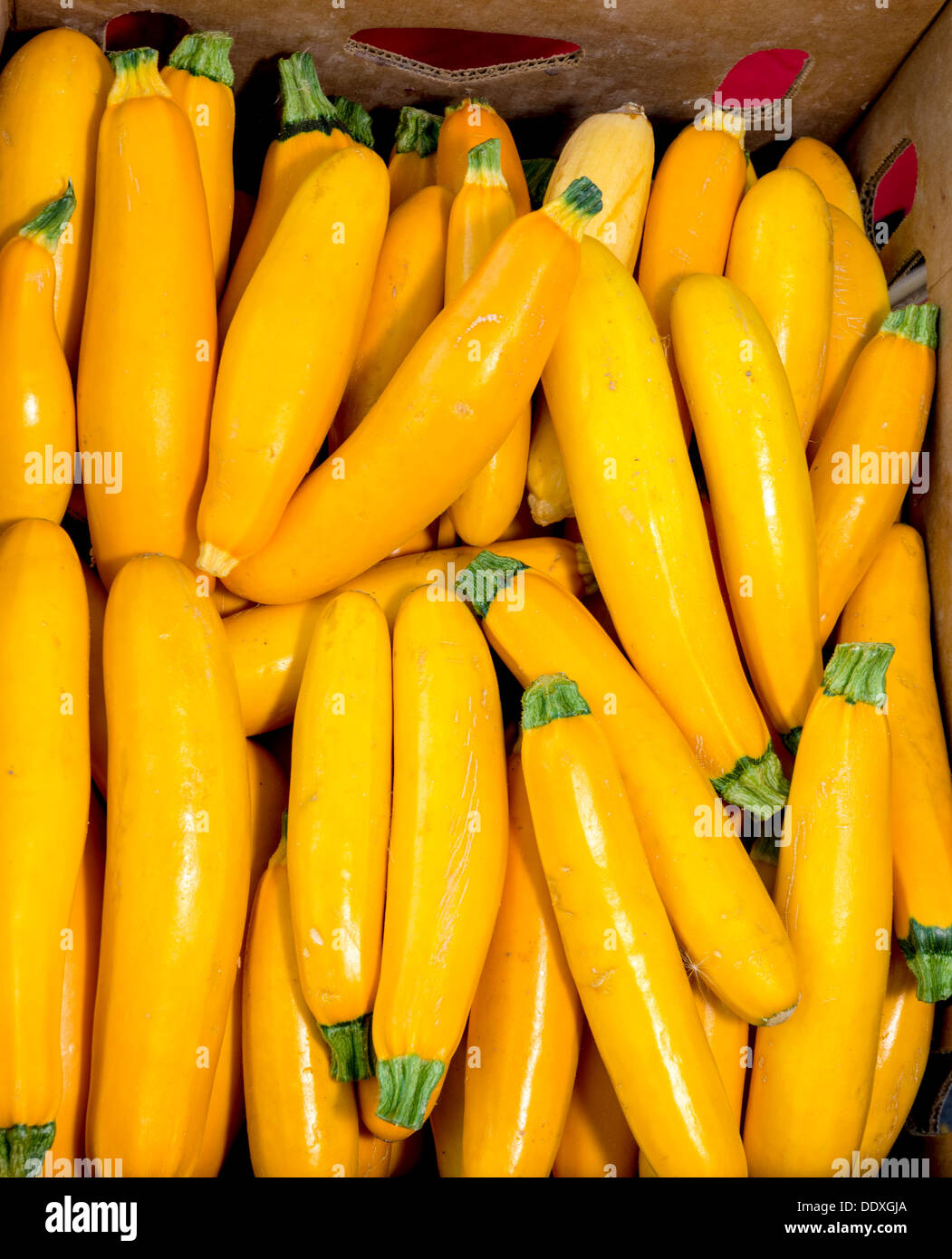 Courge jaune Banque de photographies et d’images à haute résolution - Alamy