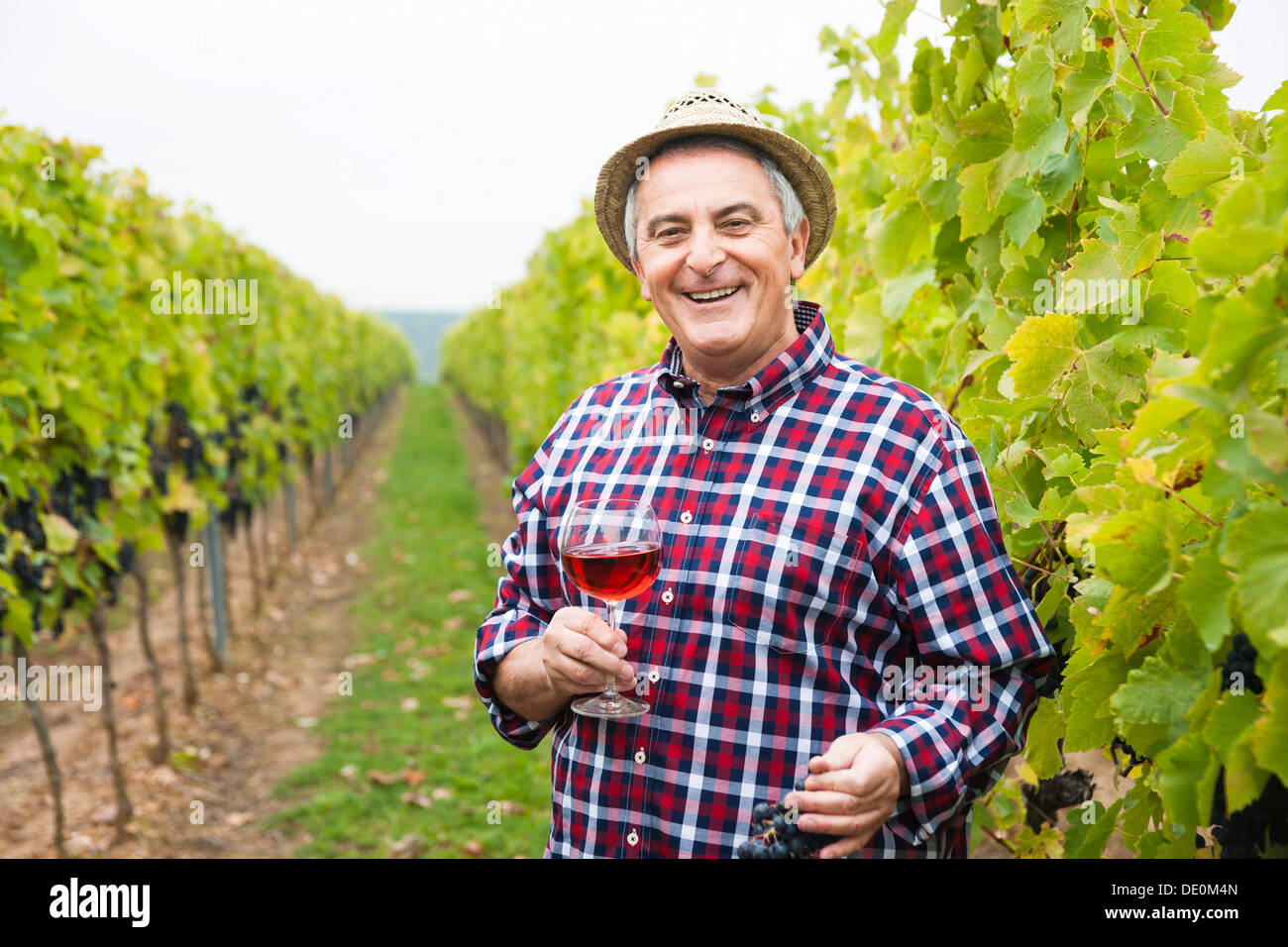 Vigneron vignes vin Banque de photographies et d’images à haute ...