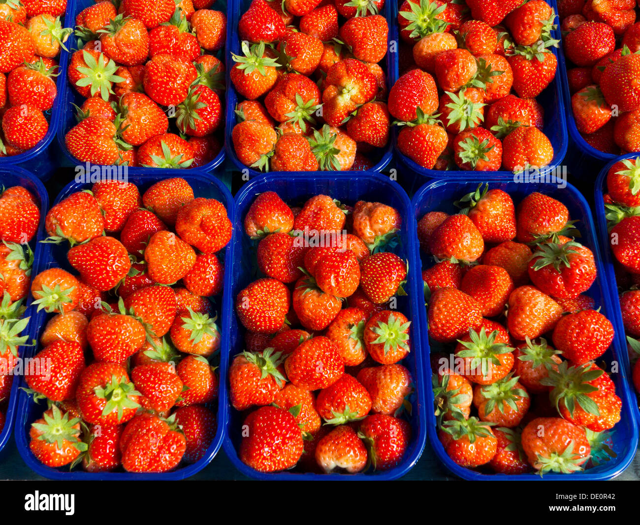 Fraises punnets frais Banque de photographies et d’images à haute ...
