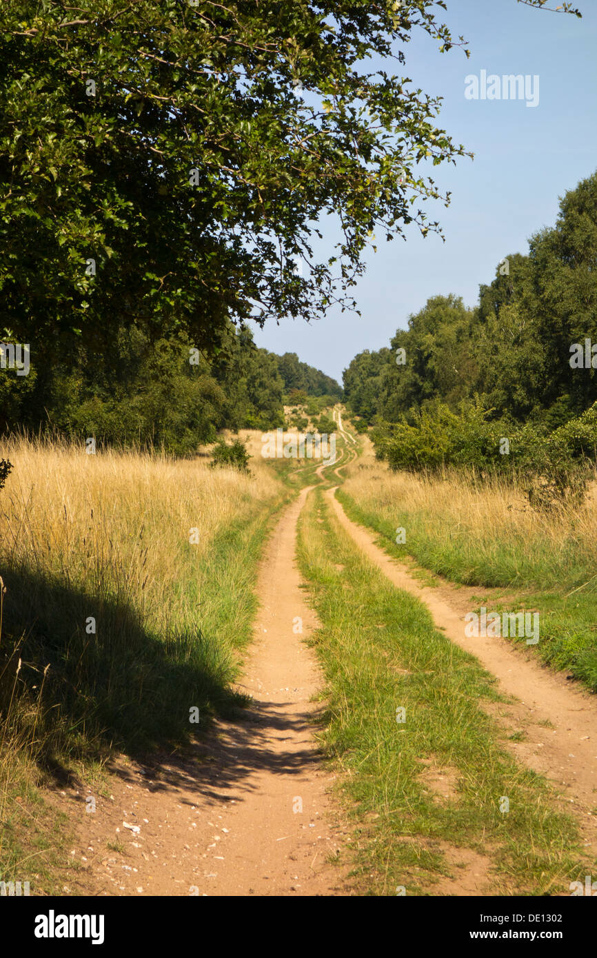 Icknield way Banque de photographies et d’images à haute résolution - Alamy