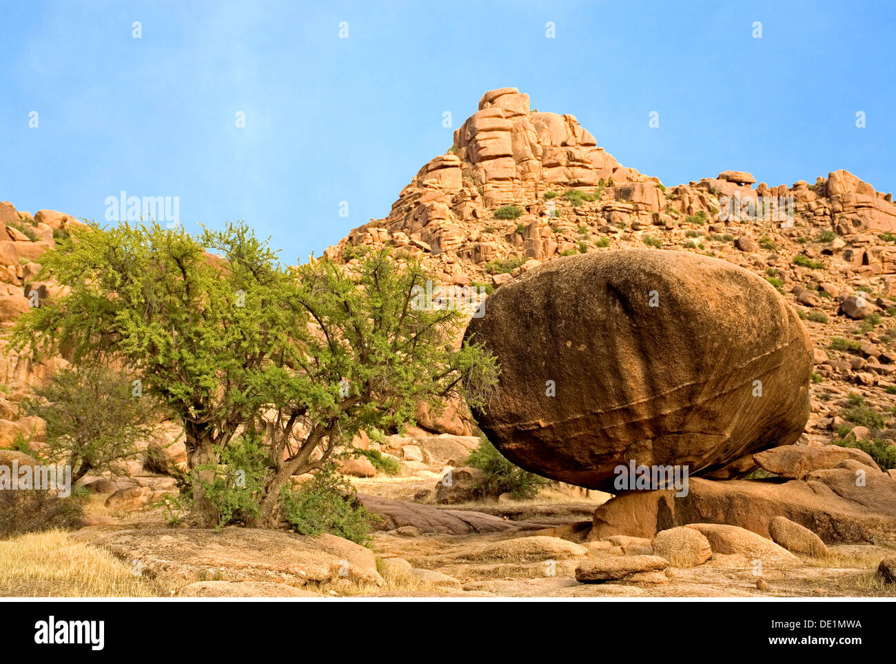 As chleuh Banque de photographies et d’images à haute résolution - Alamy