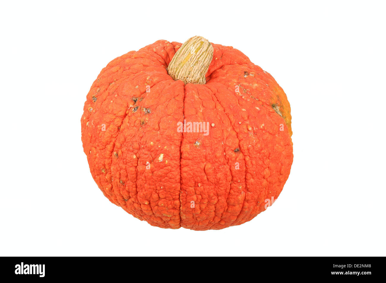 Courge verruqueuse rouge Banque de photographies et d’images à haute ...