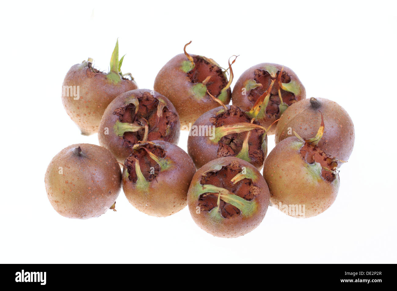 Common medlar fruits mespilus germanica Banque de photographies et d ...