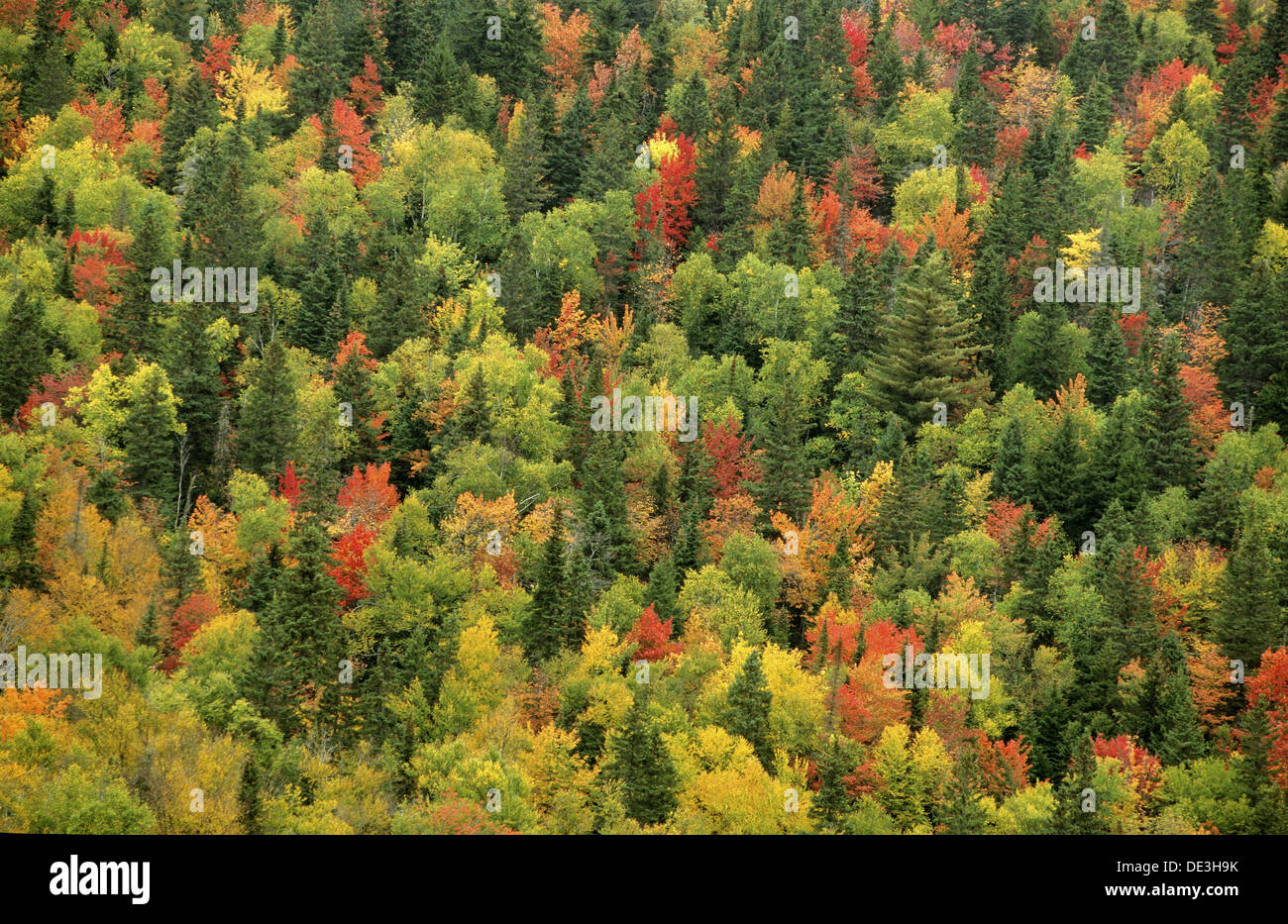 Paysage d'automne laurentides québec Banque de photographies et d ...