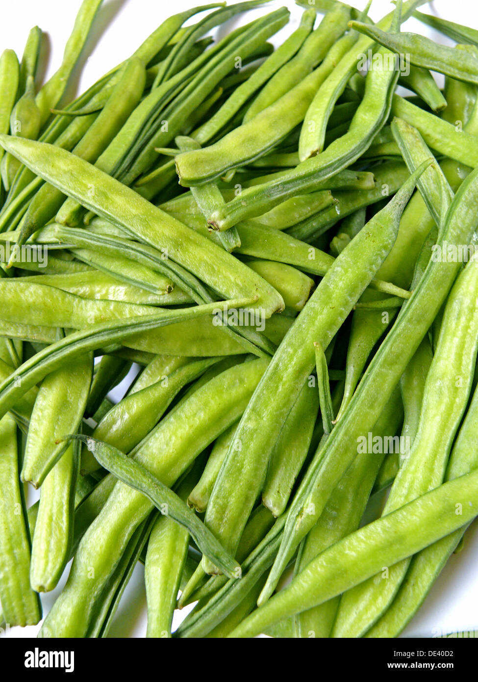 Cyamopsis Tetragonolobus Banque d'image et photos - Alamy