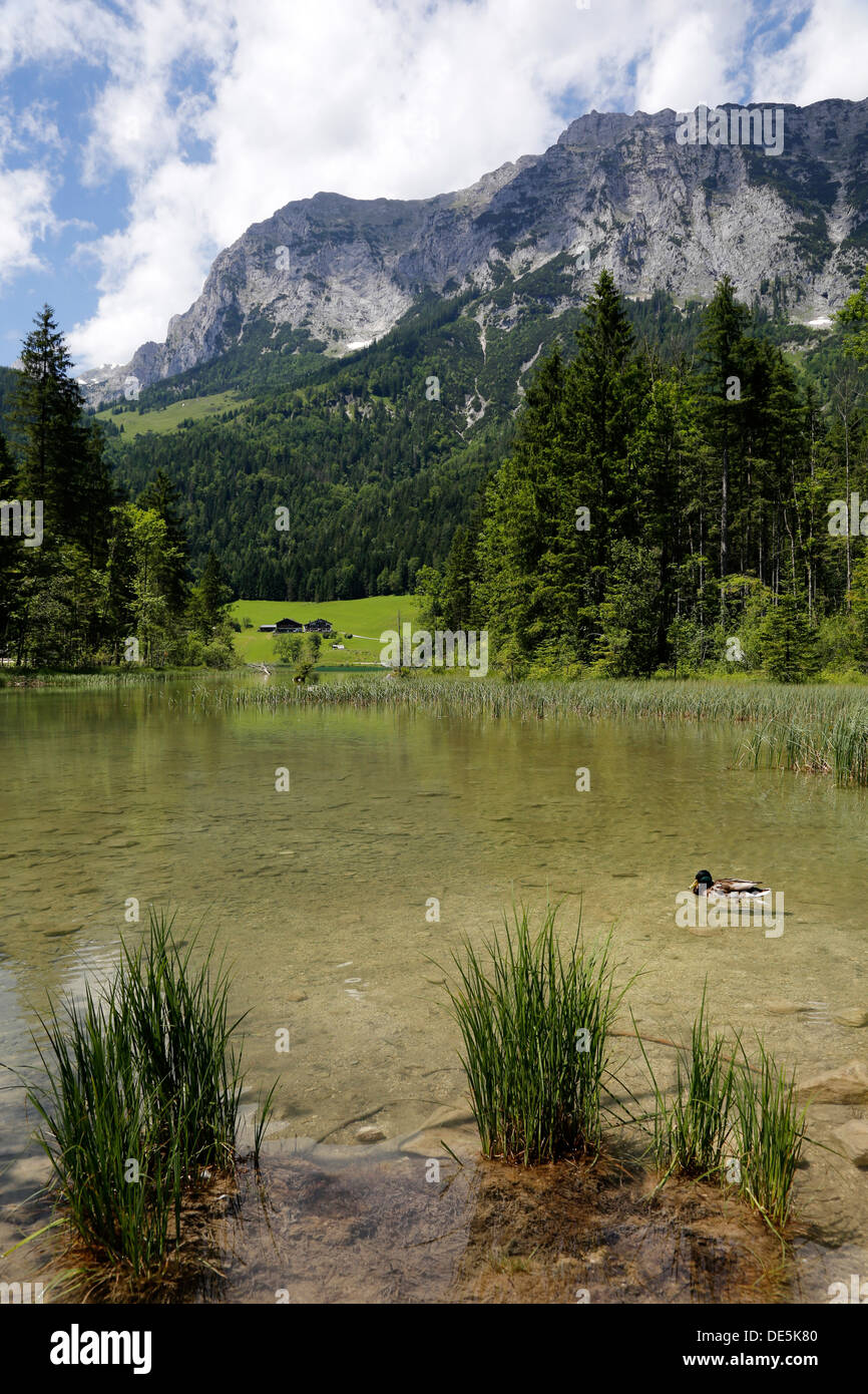 Lac hintersee Banque de photographies et d’images à haute résolution ...