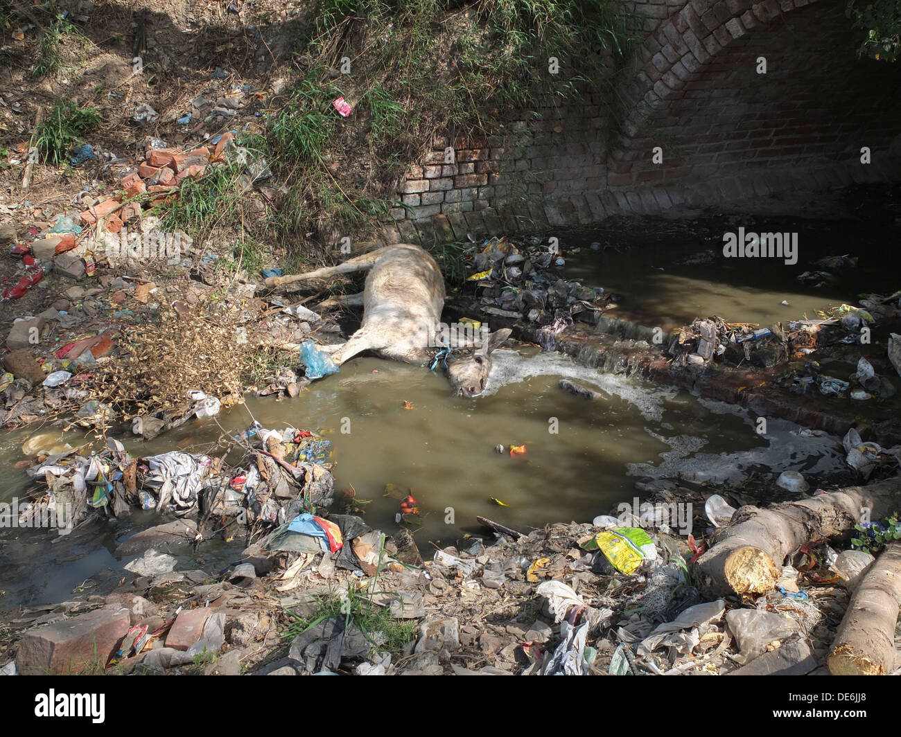 Cours d'eau pollué Banque de photographies et d’images à haute ...