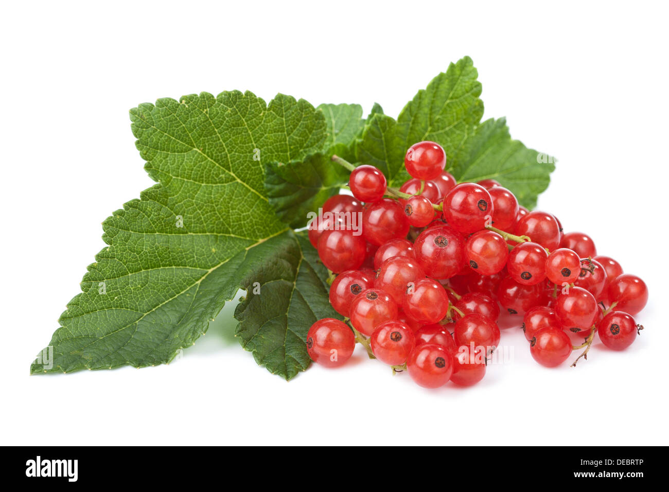 Groseille verte Banque d'images détourées - Alamy