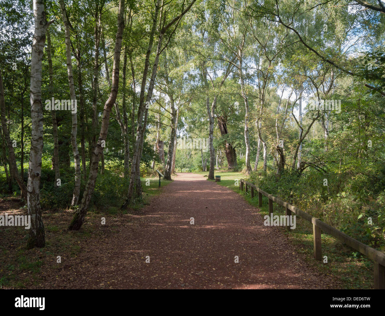 Sherwood nottingham Banque de photographies et d’images à haute ...