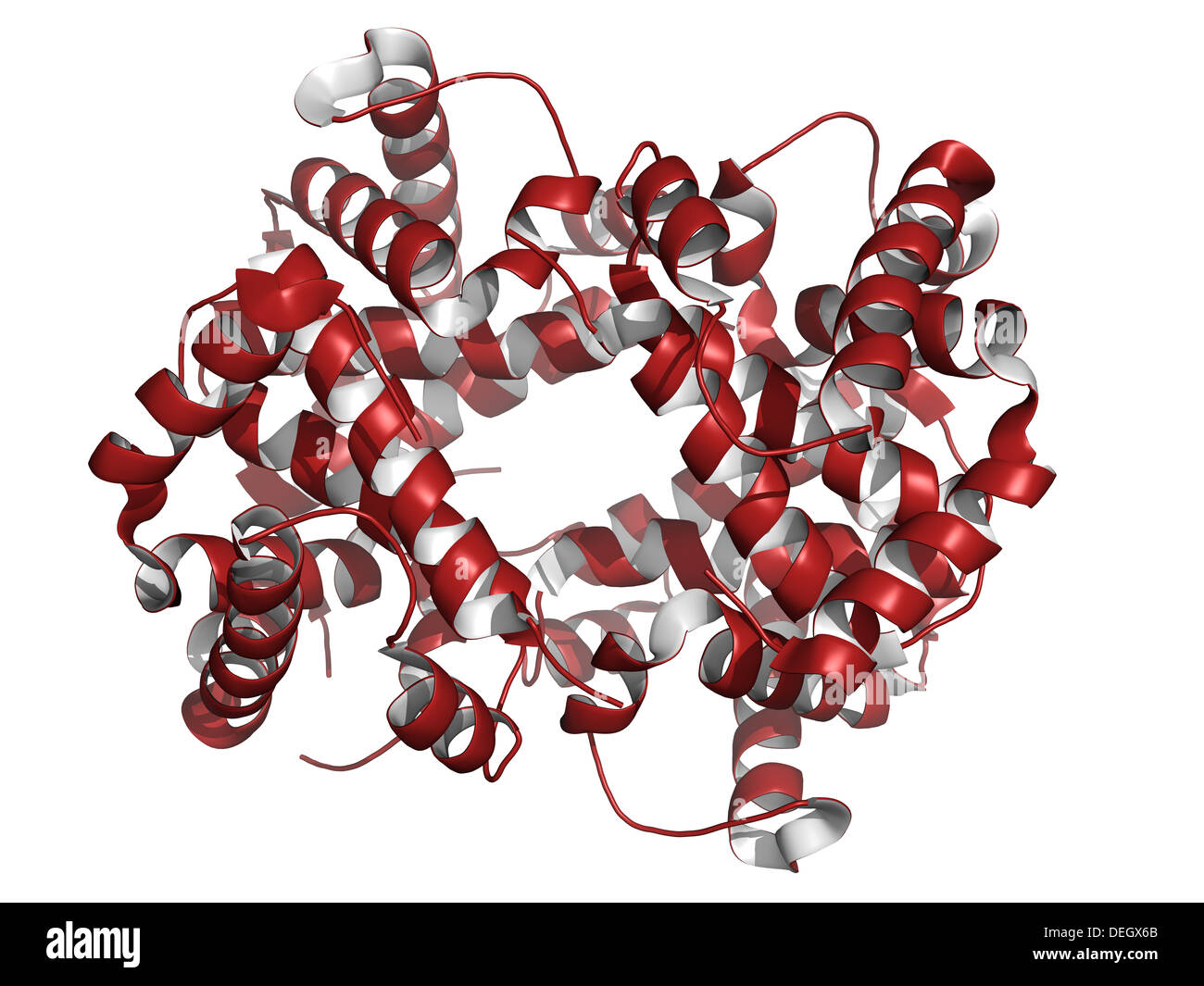 L'hémoglobine (Hb), l'hémoglobine, la structure chimique. Trouvés dans ...