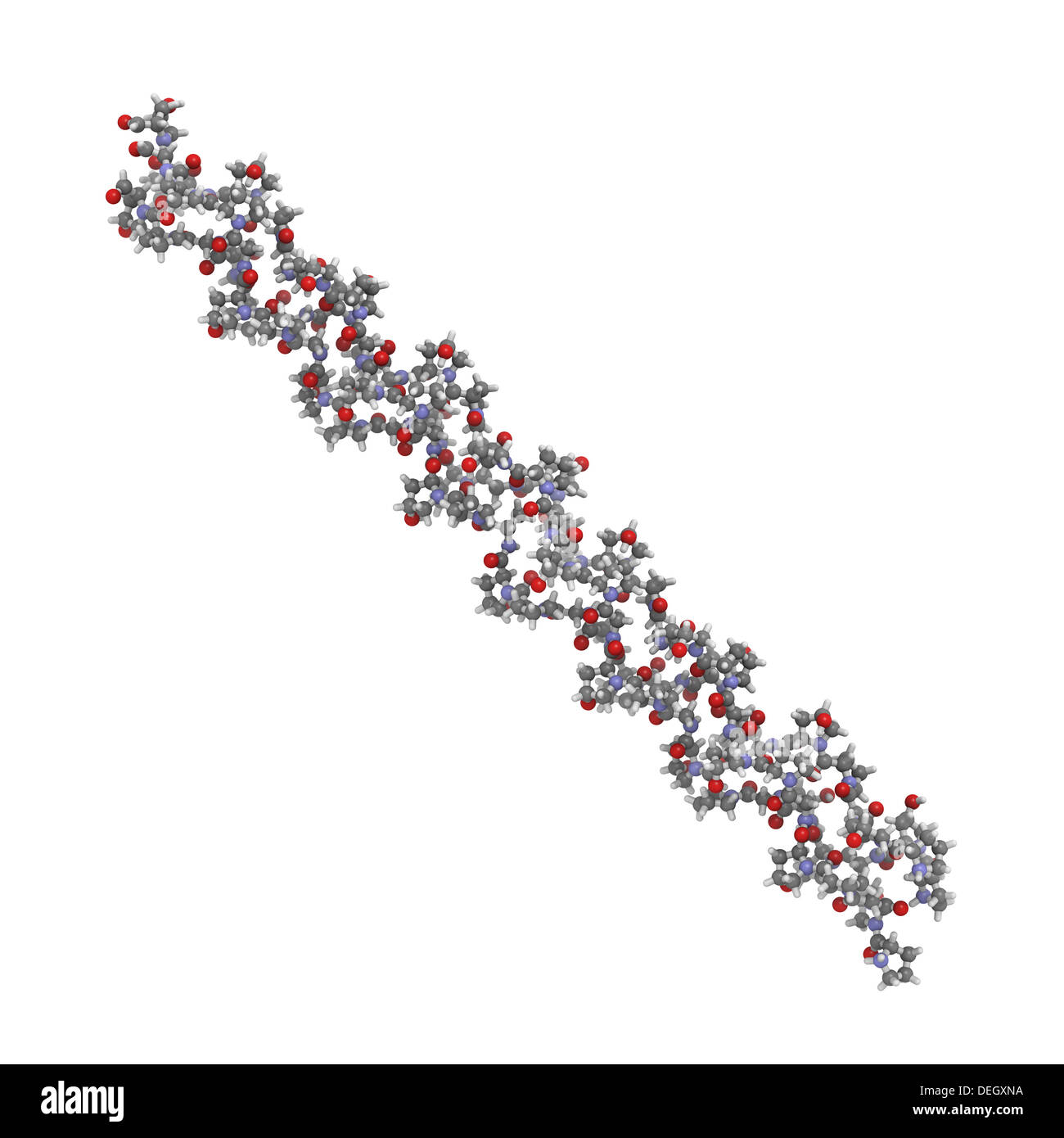 Le collagène protéine modèle molécule, la structure chimique. Le ...