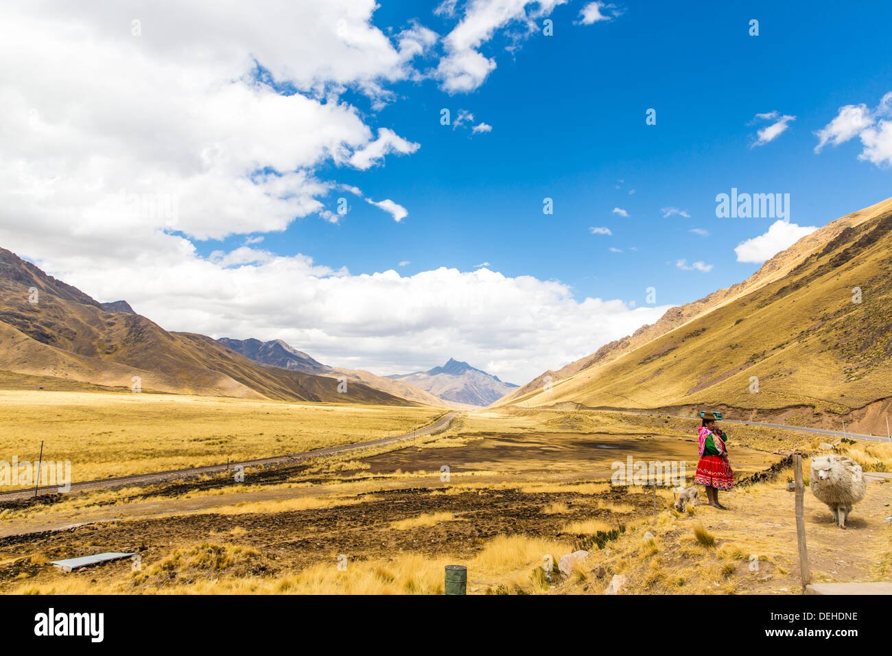 Vêtements femme péruvienne dans l'élevage national Route de lama Cusco ...