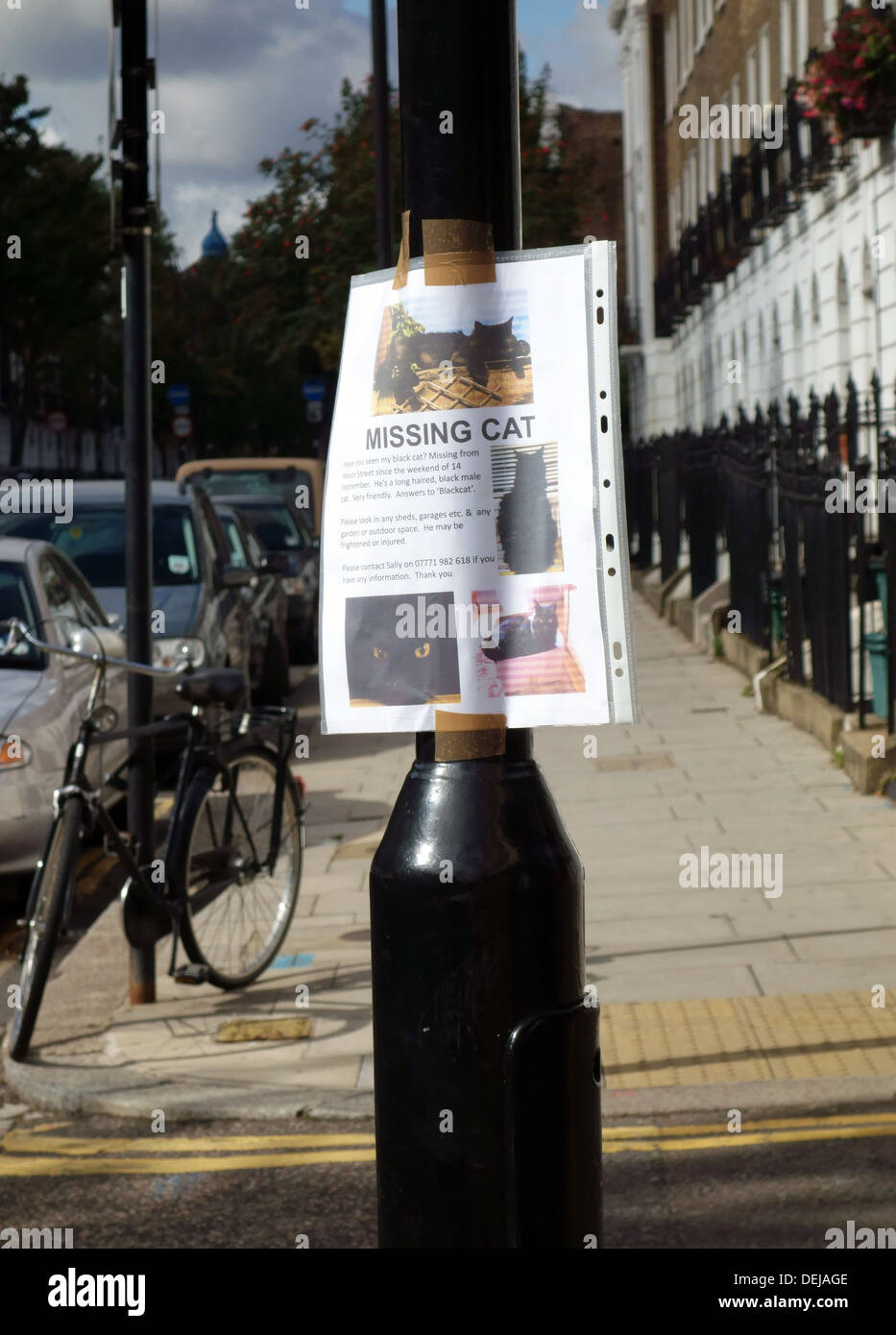 Affiche de chat perdu Banque de photographies et d’images à haute ...