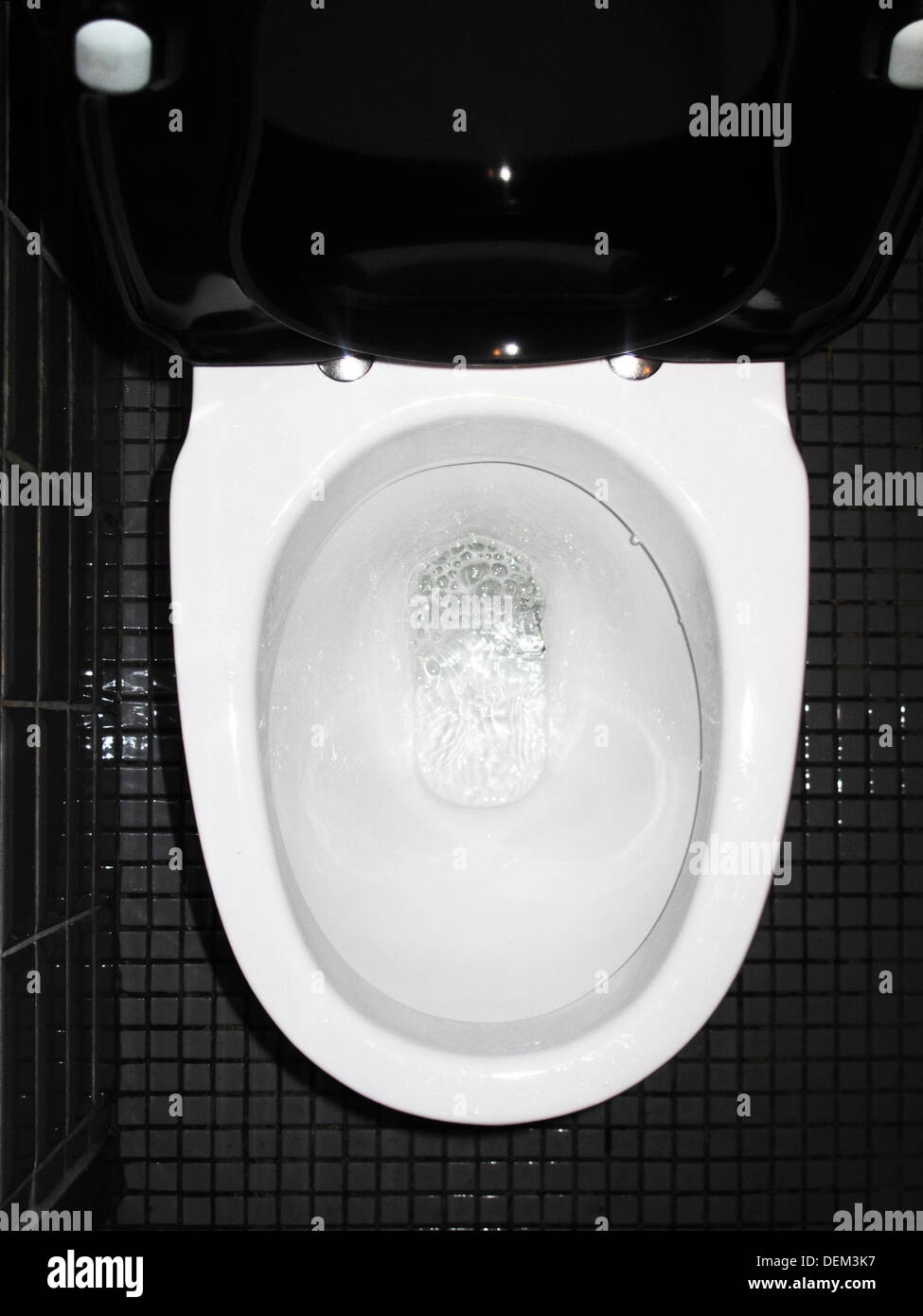 Cuvette des toilettes Banque de photographies et d’images à haute ...