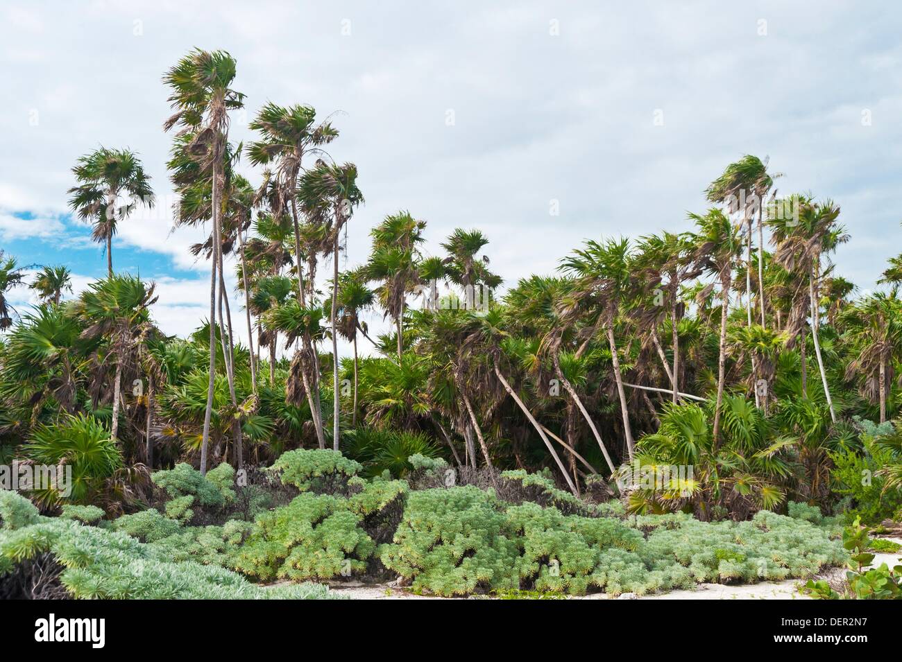 Parc National De Guanahacabibes Banque d'image et photos - Alamy