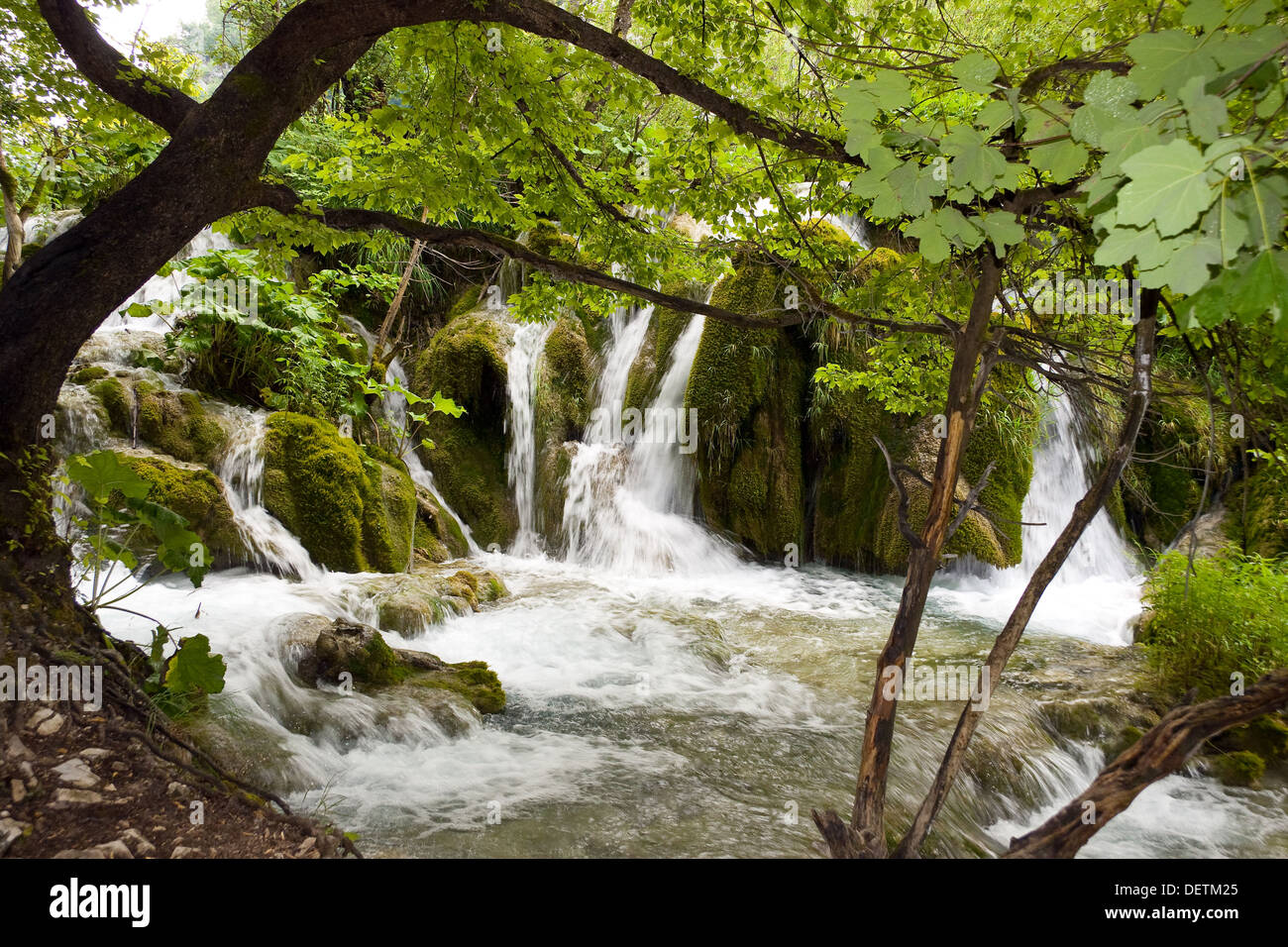 Chutes de plitvice Banque de photographies et d’images à haute ...