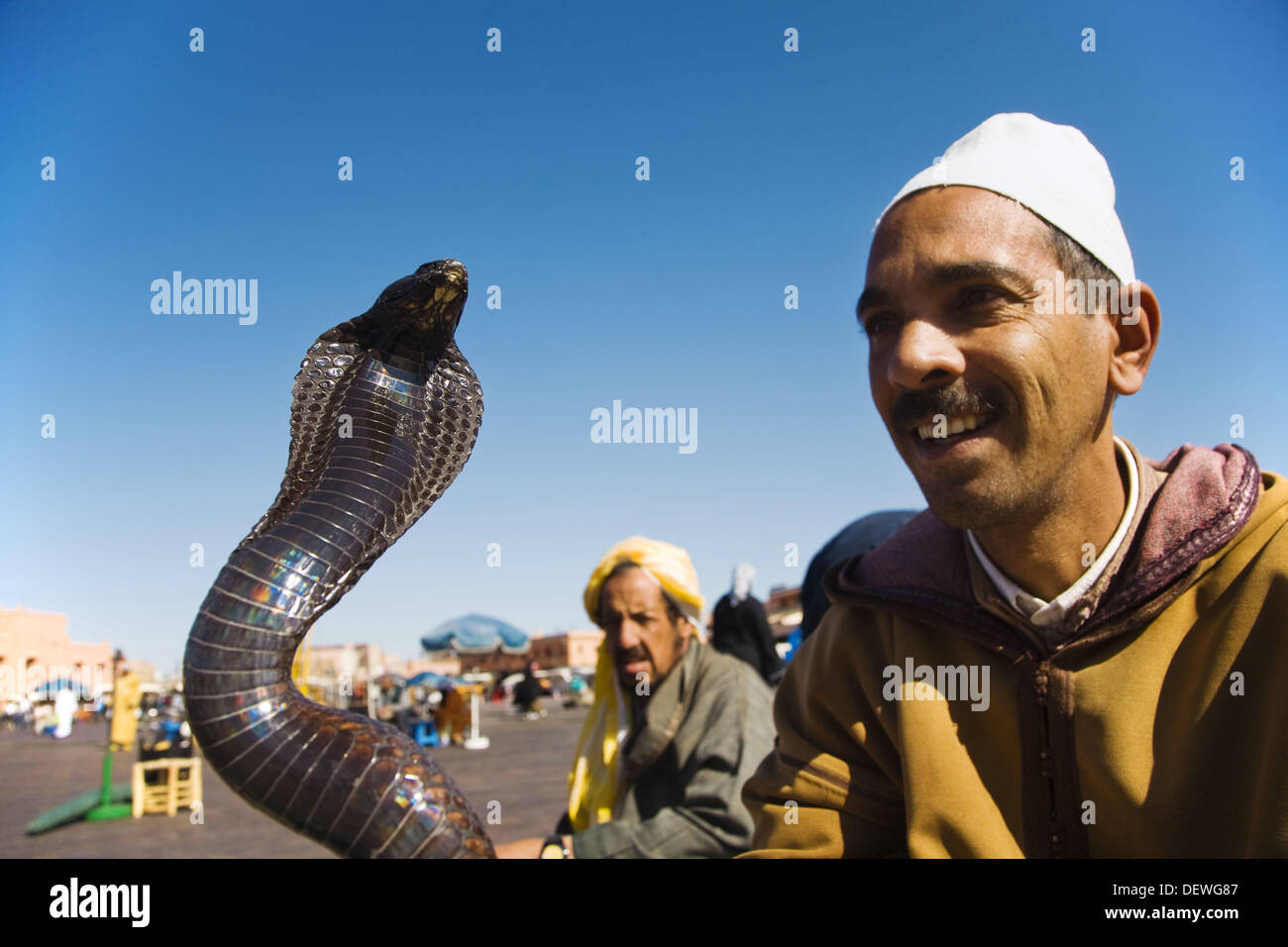Charmeur de serpents de marrakech Banque de photographies et d’images à ...