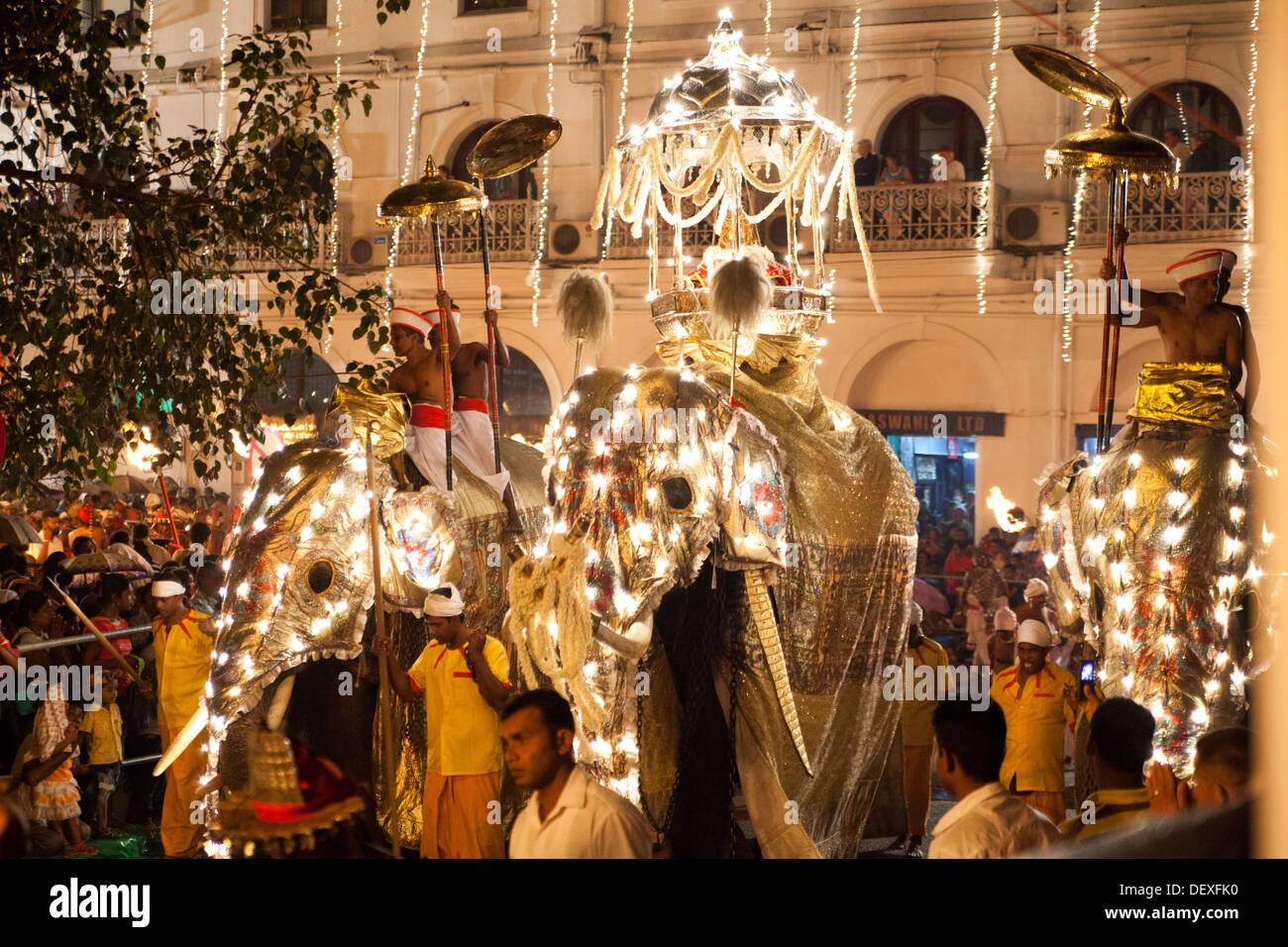 Perahera sri lanka elephant Banque de photographies et d’images à haute ...