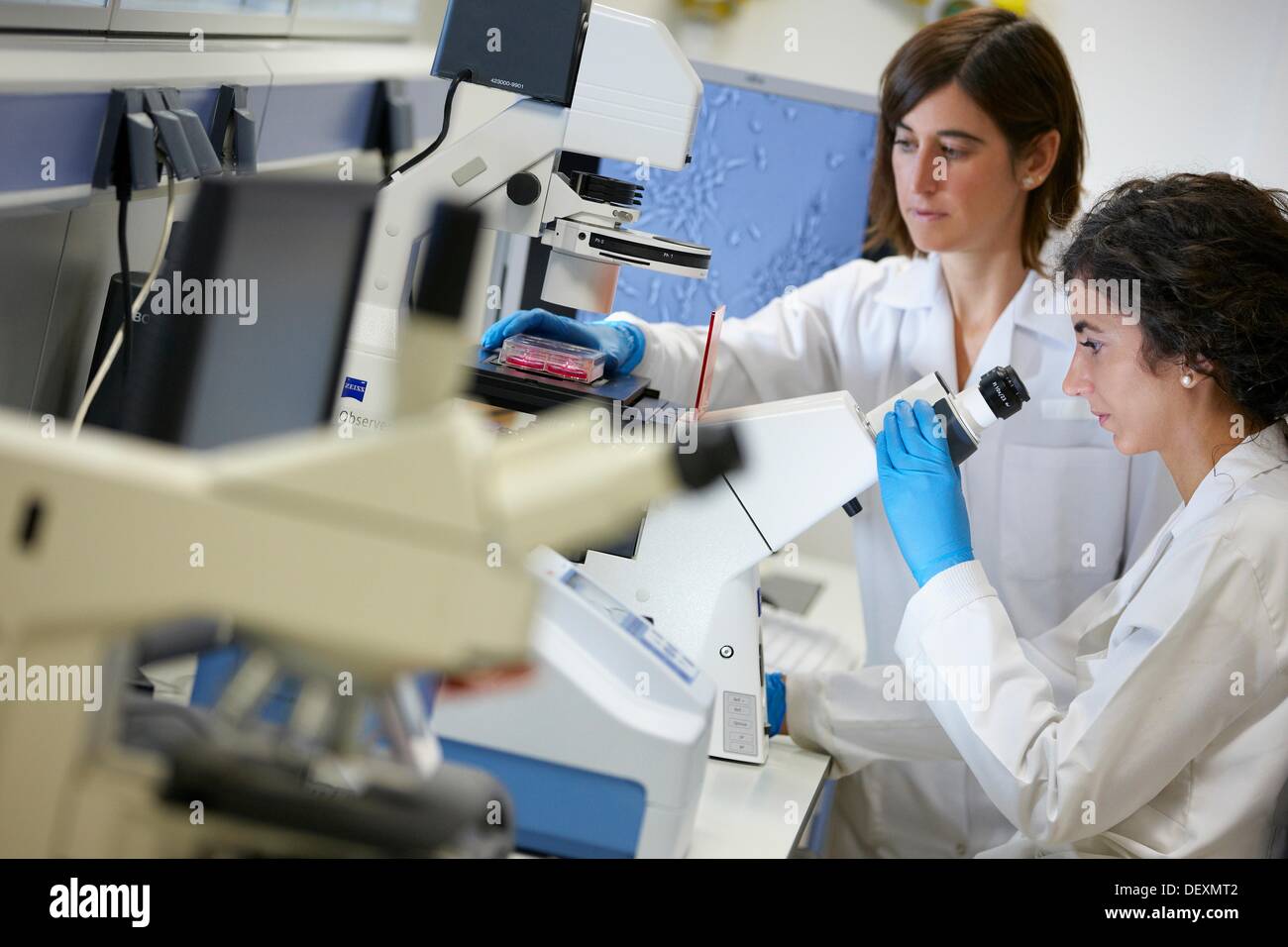 Microscope optique inversé dans l'analyse des instruments de ...