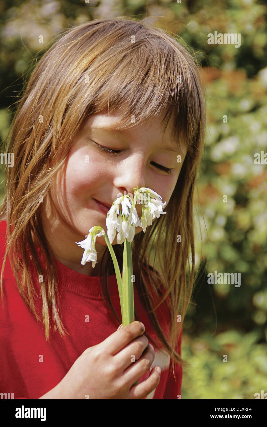 Visiter le 'Jardins Traditionnels du Cap Corse', à Luri. La corse. La ...