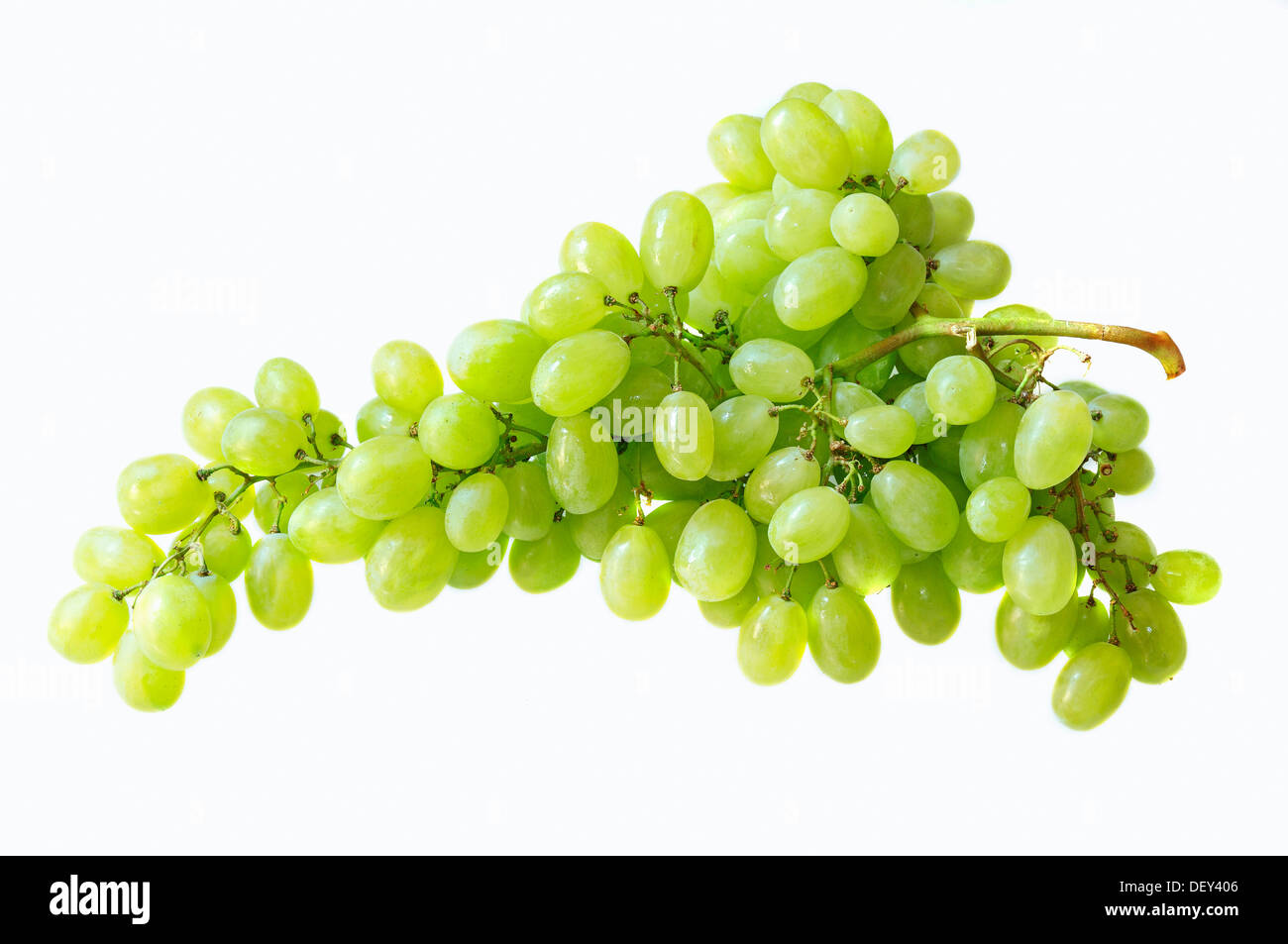 Grappe de raisin blanc vitis vinifera Banque de photographies et d ...