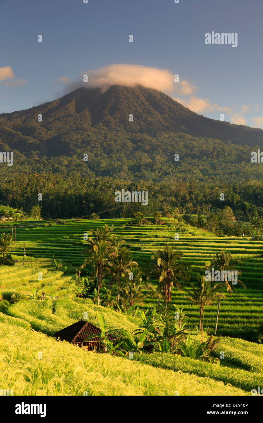 Mt pohen Banque de photographies et d’images à haute résolution - Alamy