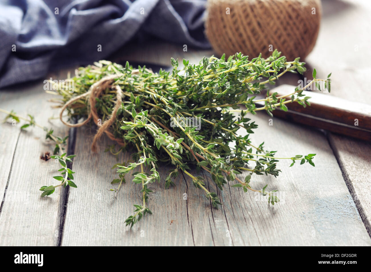 Thym frais Banque de photographies et d’images à haute résolution - Alamy