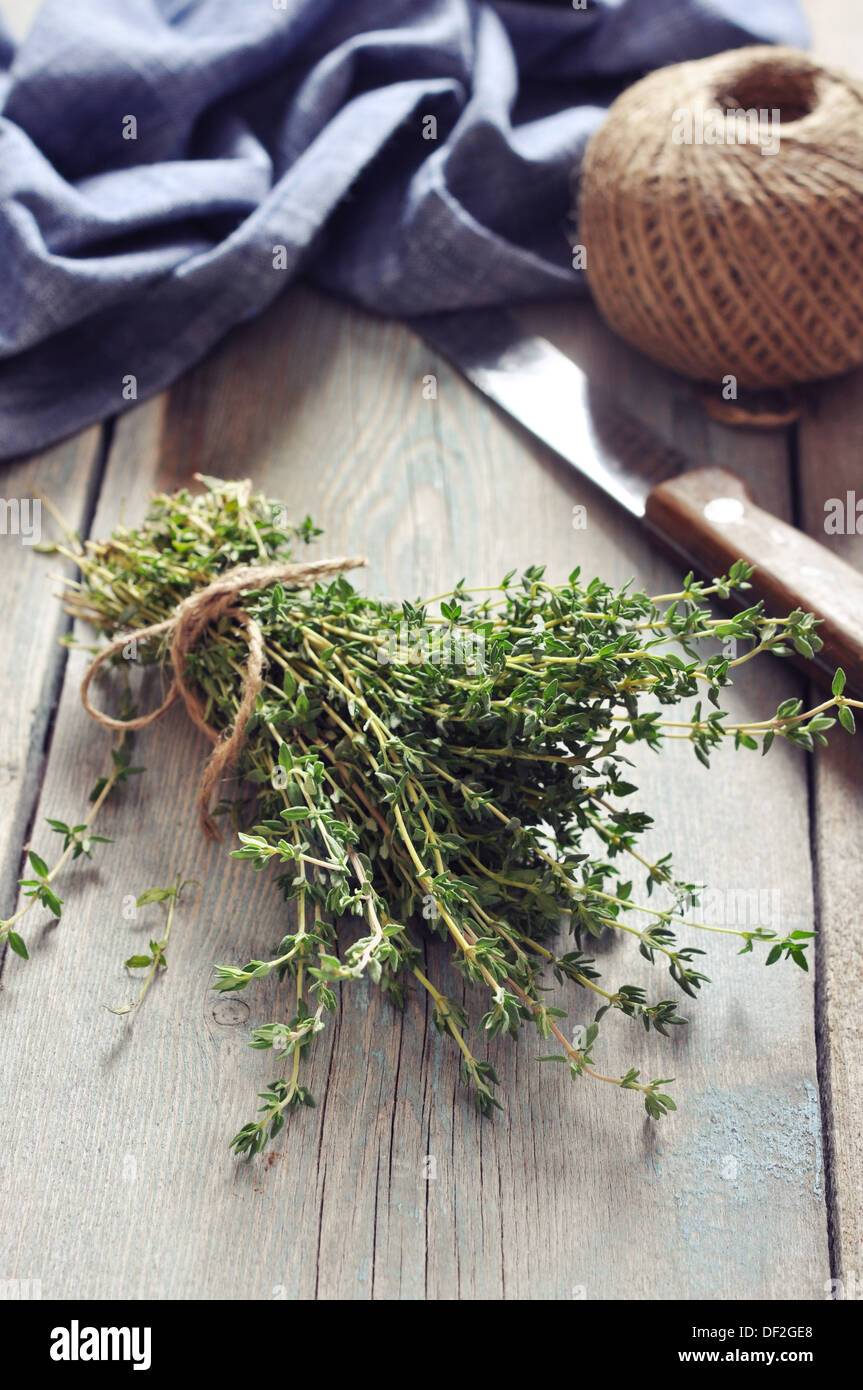 Thym frais Banque de photographies et d’images à haute résolution - Alamy