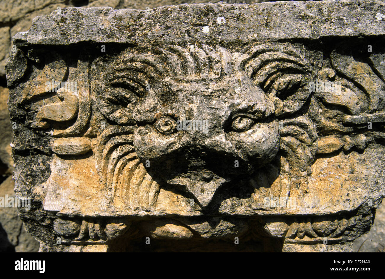 Face Of Zeus Banque d'image et photos - Alamy