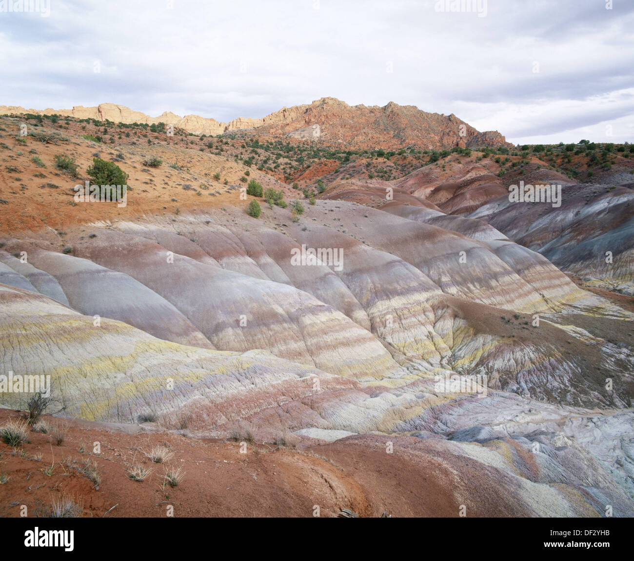 Des monticules de schiste chinle multicolores. Vermilion Cliffs ...