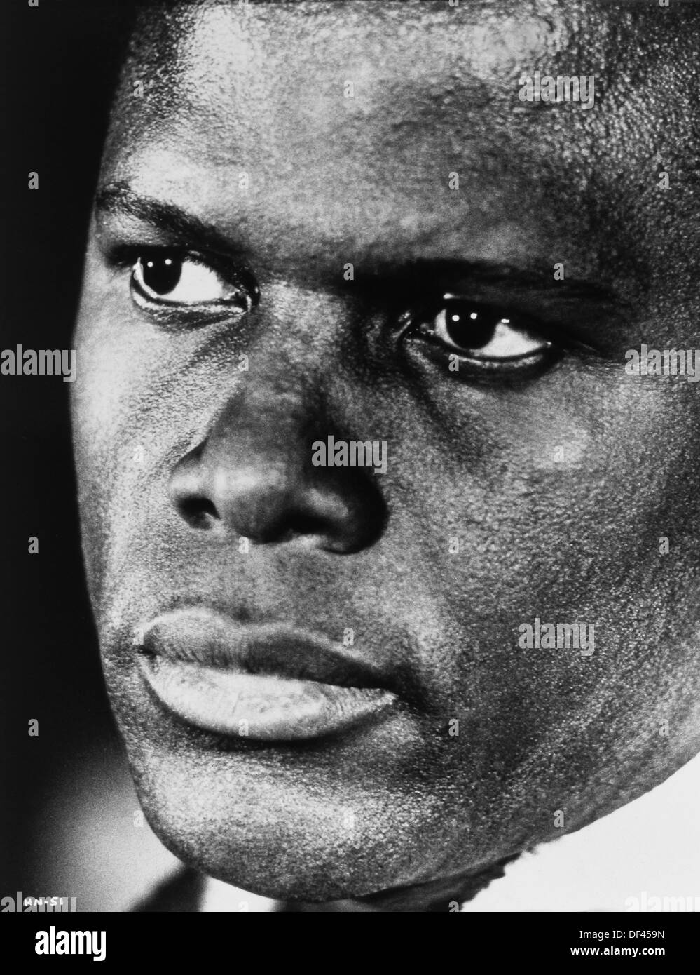 Sidney Poitier, Portrait, sur-ensemble du film, "dans la chaleur de la ...