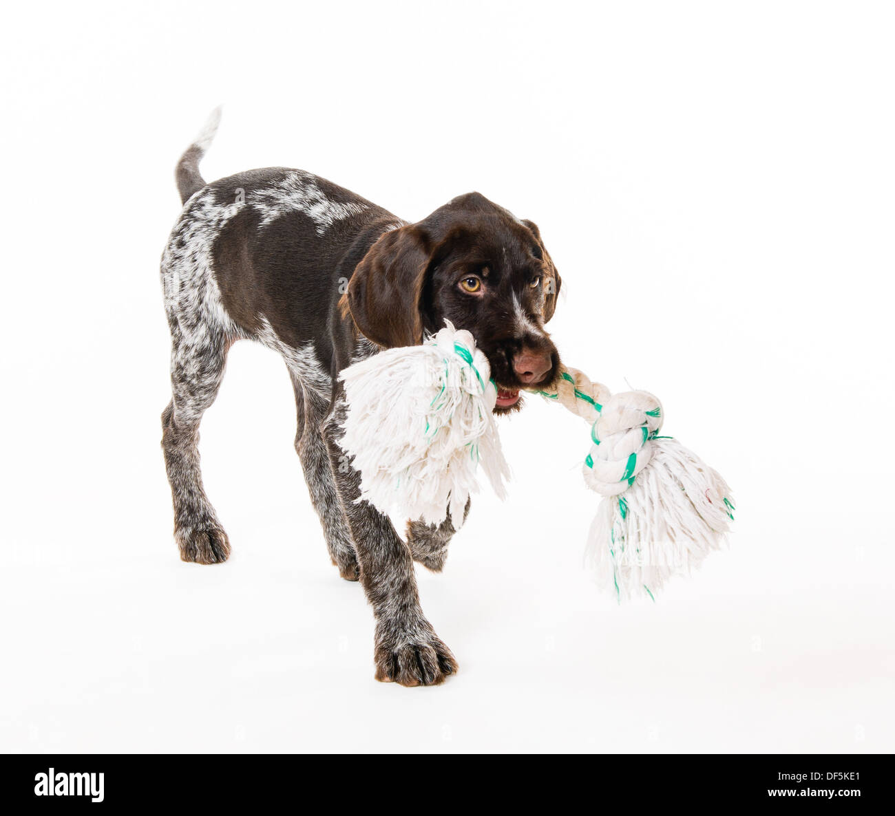 12 pointeur Banque de photographies et d’images à haute résolution - Alamy