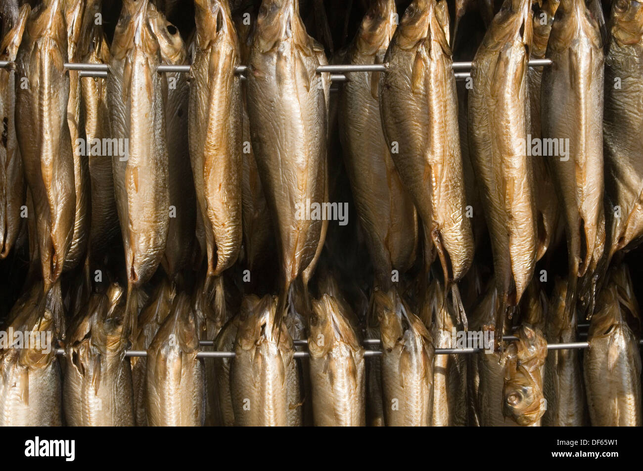 Kippers kipper le poisson fumé saveur fumée fumée fumer harengs hareng ...