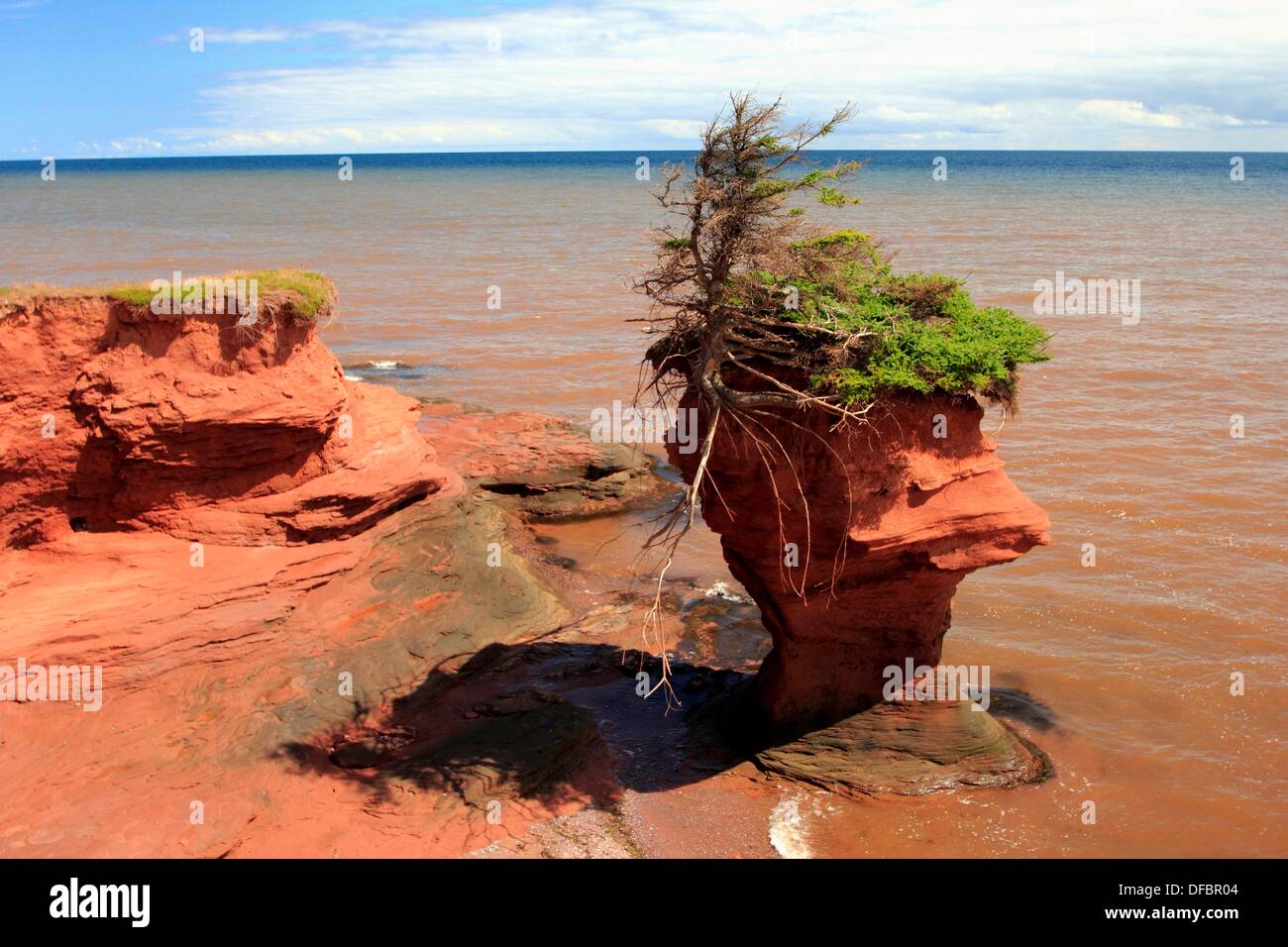 Dans le kildare Banque de photographies et d’images à haute résolution ...