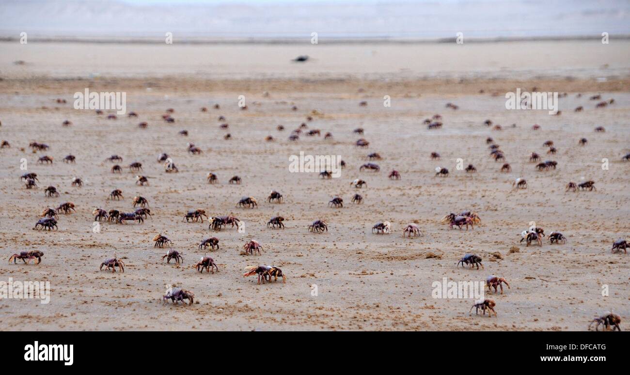 Ed Dahab Lagouira Banque d'image et photos - Alamy