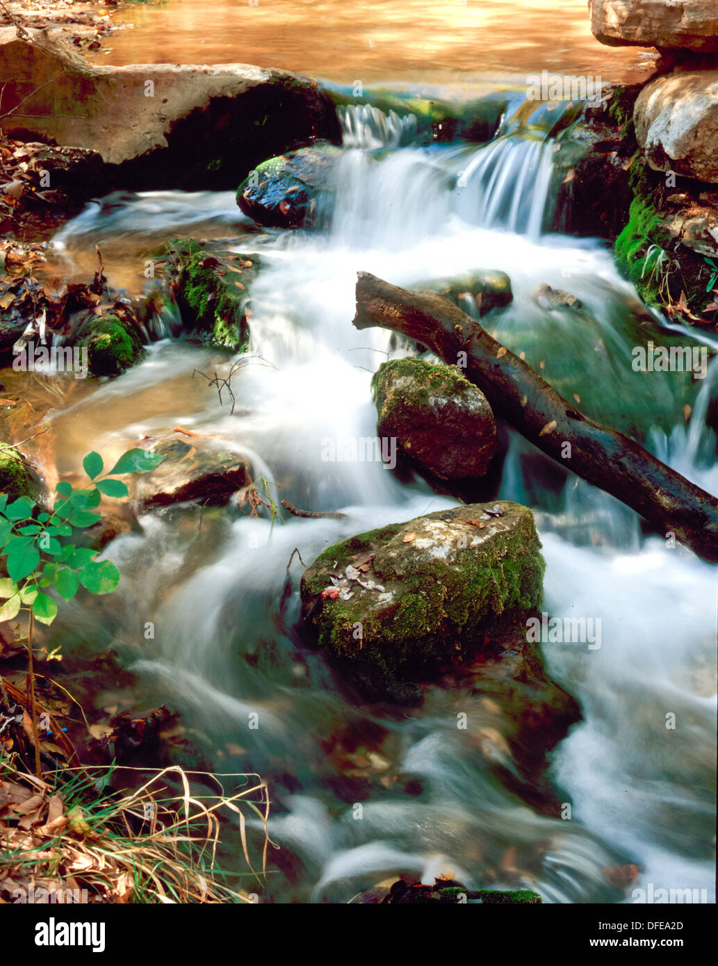 Nez romain Banque de photographies et d’images à haute résolution - Alamy