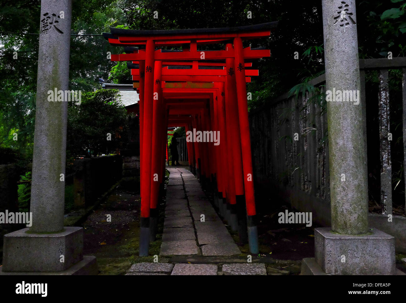 Torii gates nezu sanctuaire Banque de photographies et d’images à haute ...