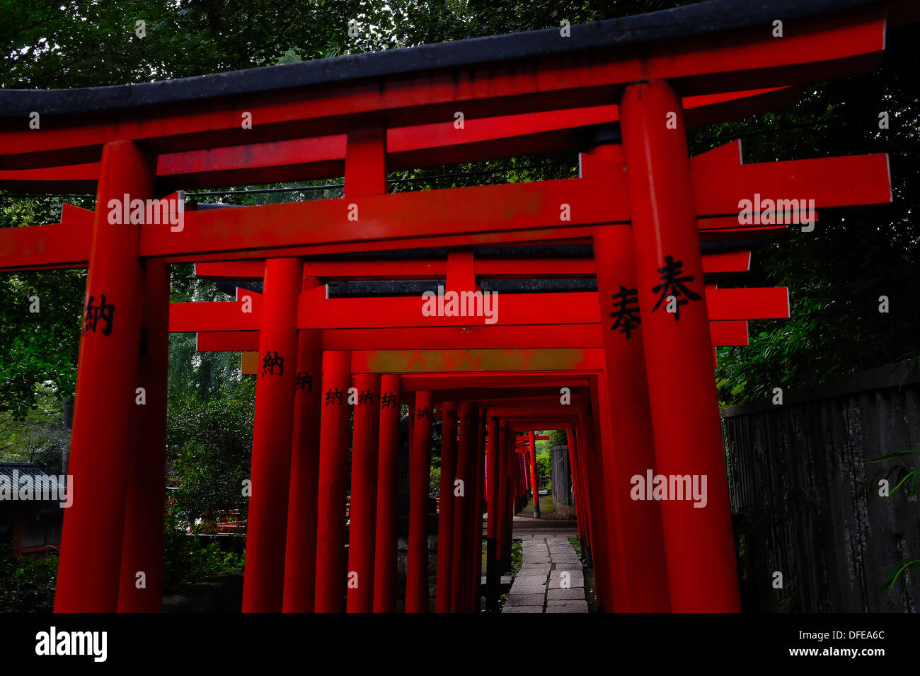 Torii gates nezu sanctuaire Banque de photographies et d’images à haute ...