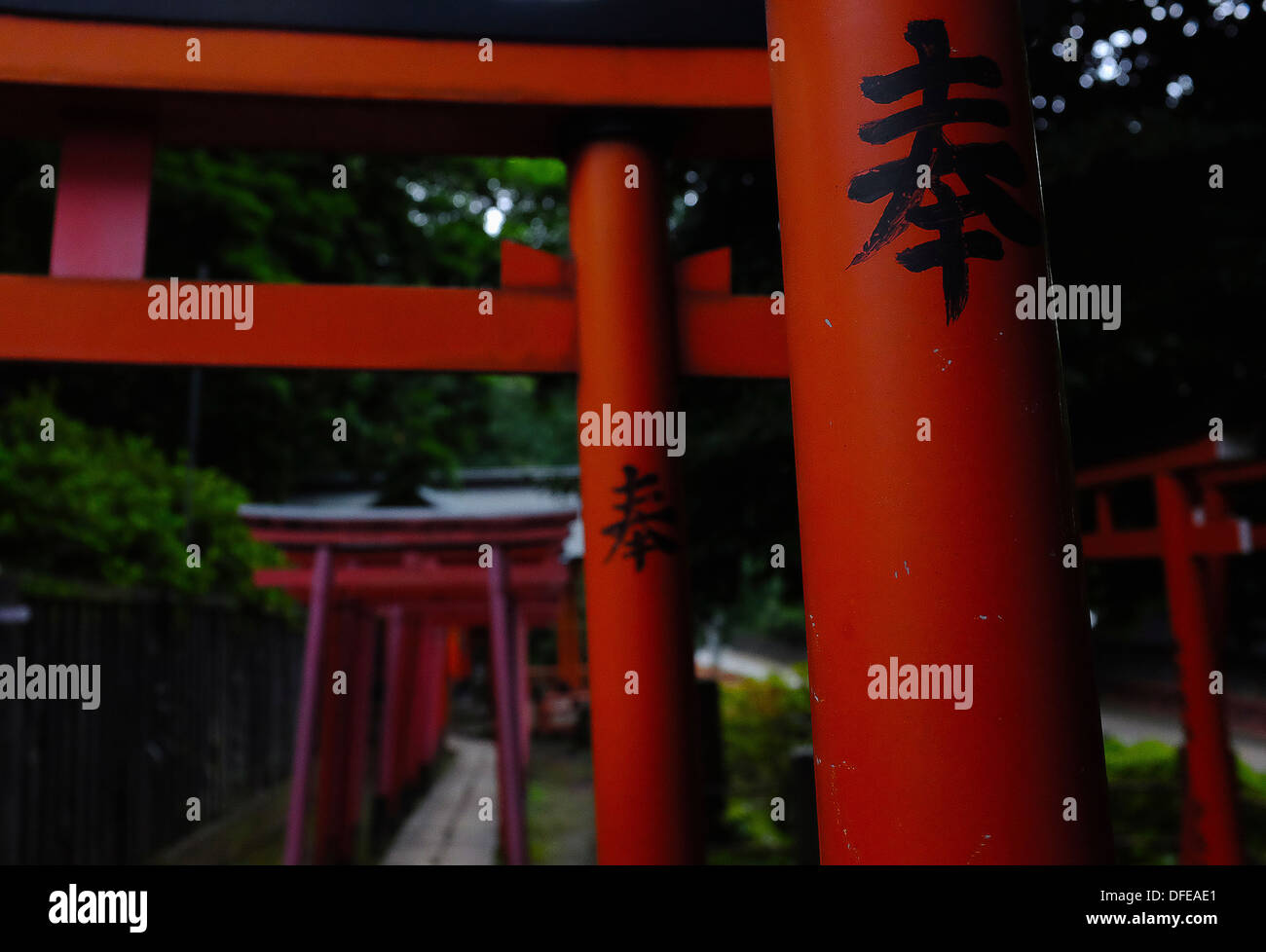 Torii gates nezu sanctuaire Banque de photographies et d’images à haute ...