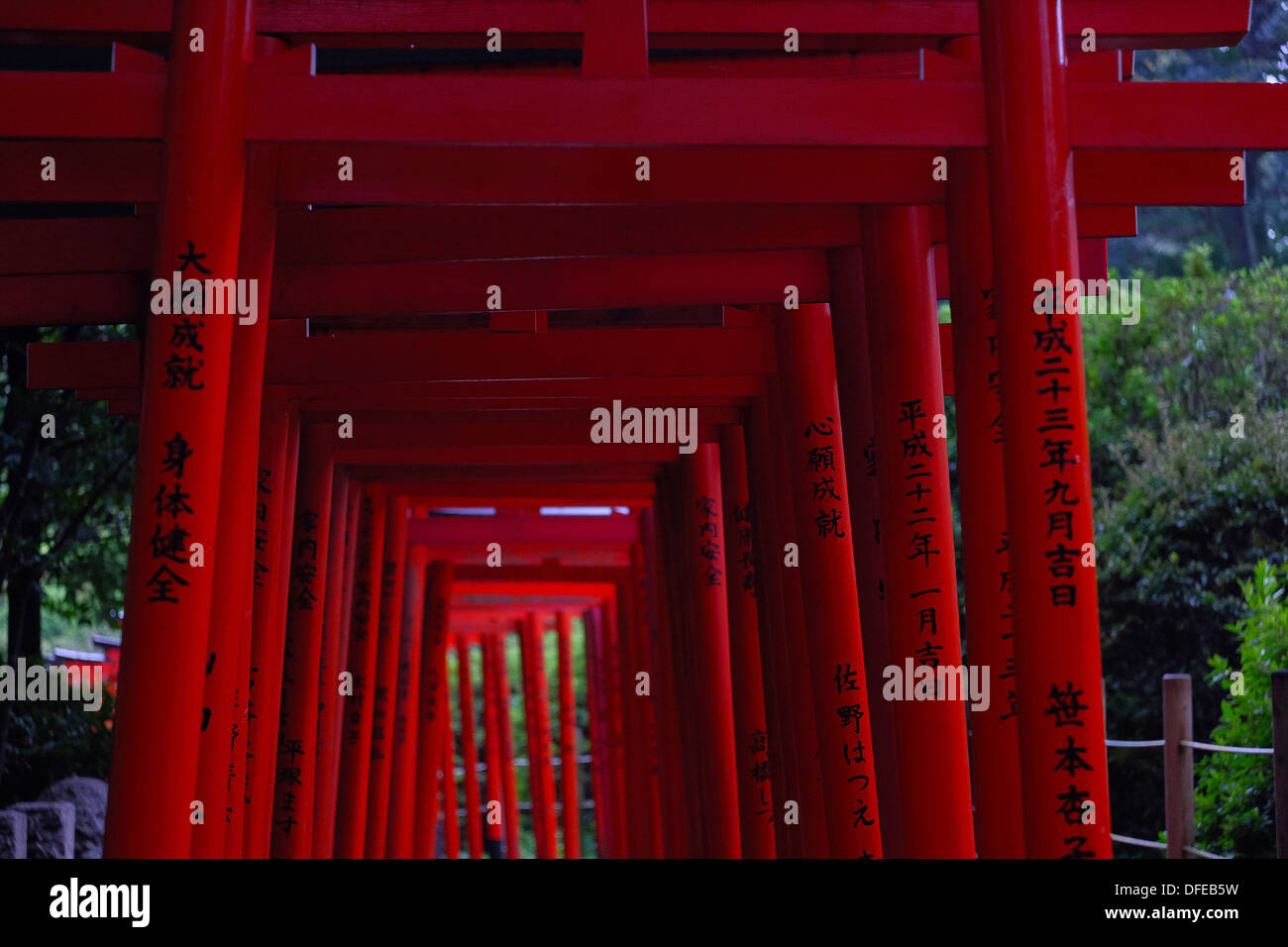 Torii gates nezu sanctuaire Banque de photographies et d’images à haute ...