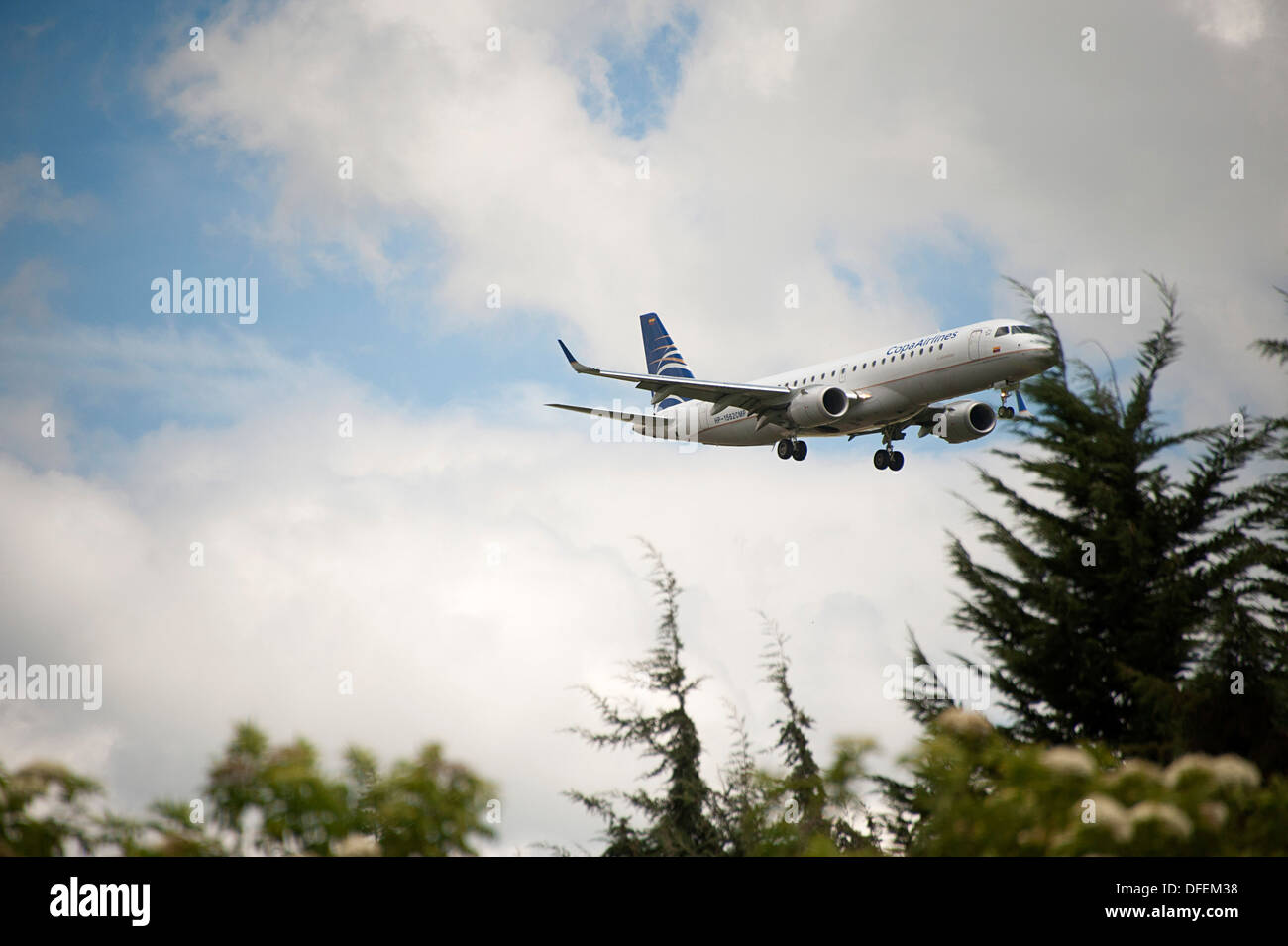 Avion survolant des arbres Banque de photographies et d’images à haute ...